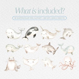Cute Undersea Watercolor Clipart, Sea Life Clipart Bundle, Cute Ocean ...