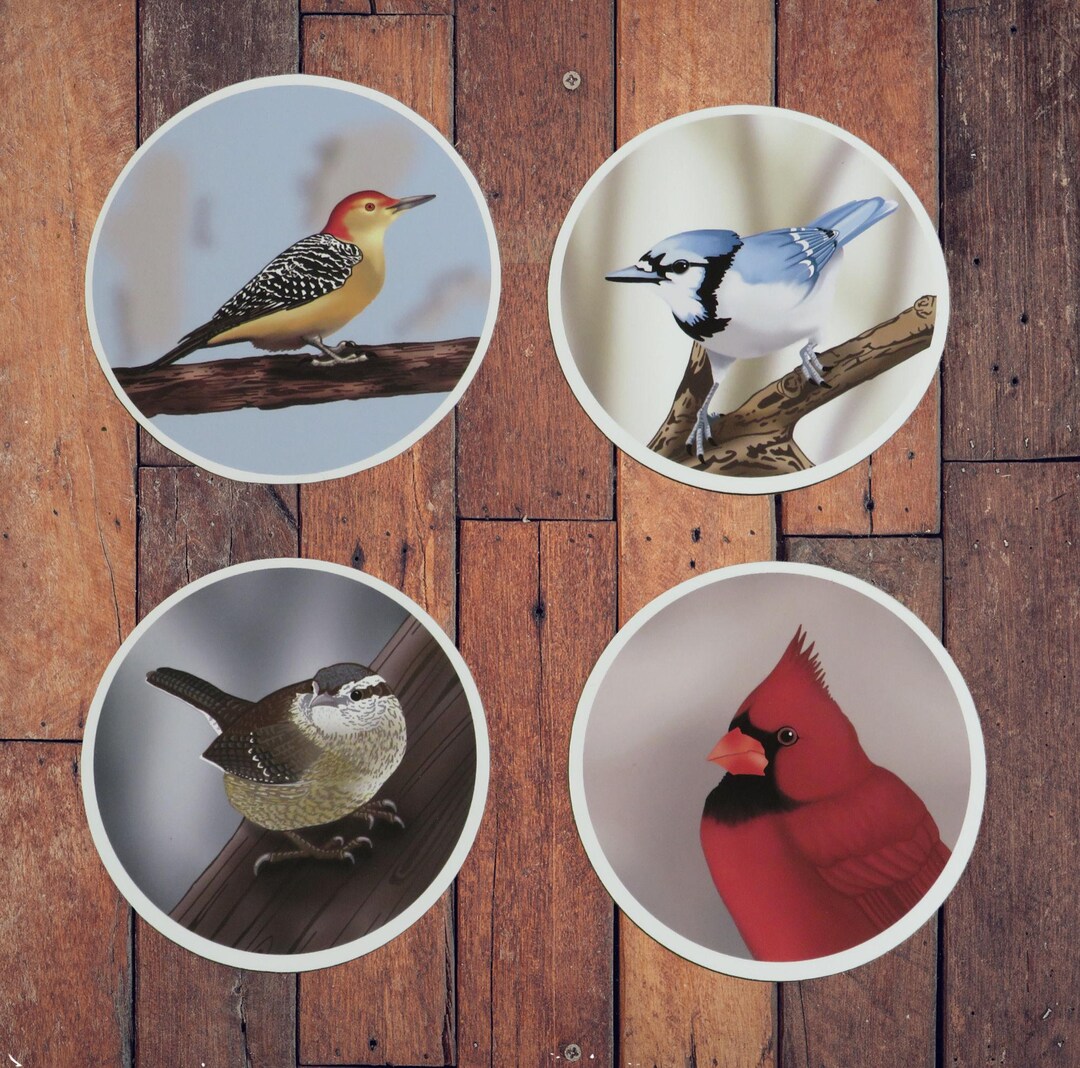 Bird Lovers Stickers, Set of 4, Cardinal, Woodpecker, Blue Jay, Wren - Etsy