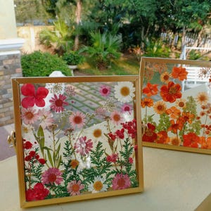 Pressed Flower Frames, Table Flower Frames, Huge Pressed Flower, Dried ...