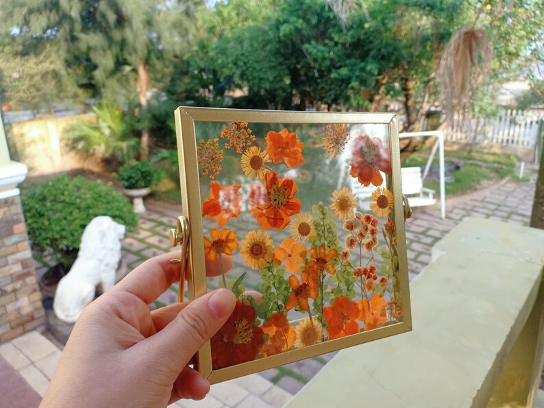 Pressed Flower Frames, Table Flower Frames, Huge Pressed Flower, Dried ...