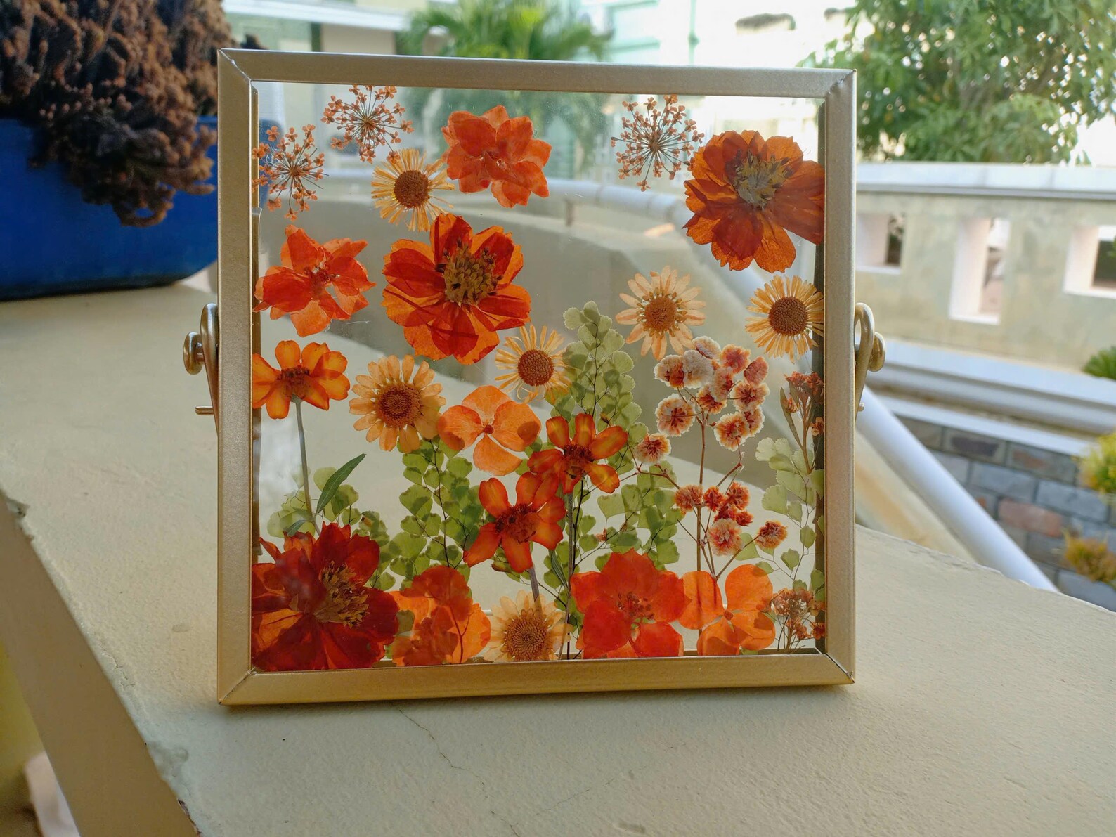 Pressed Flower Frames, Table Flower Frames, Huge Pressed Flower, Dried ...