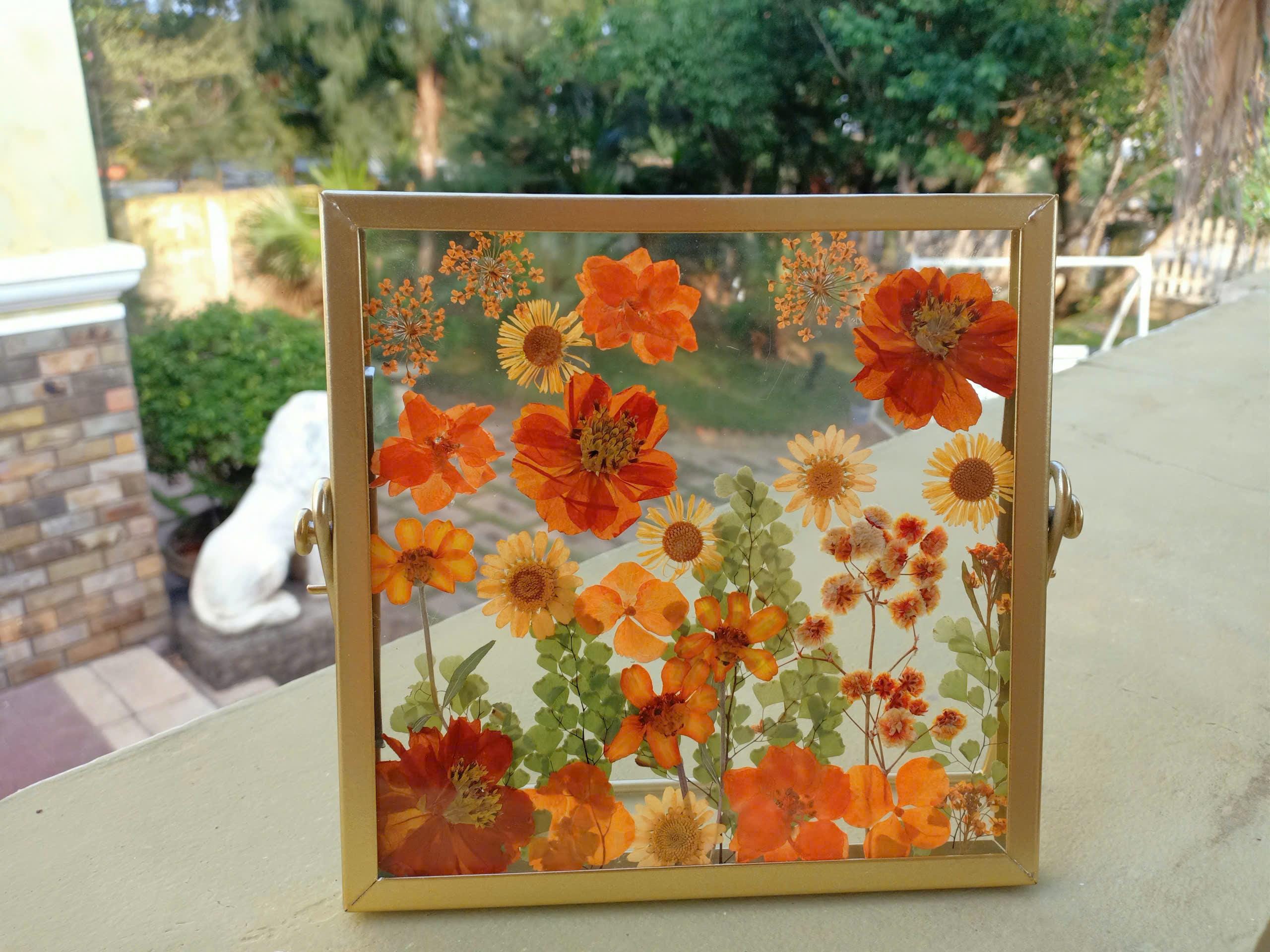 Pressed Flower Frames, Table Flower Frames, Huge Pressed Flower, Dried ...