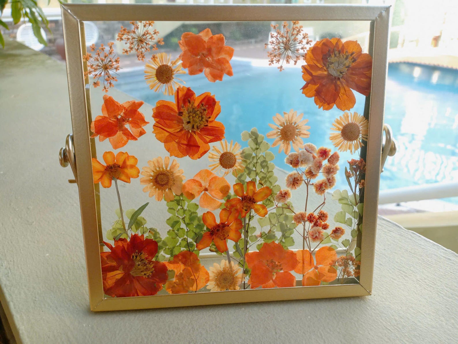 Pressed Flower Frames, Table Flower Frames, Huge Pressed Flower, Dried ...