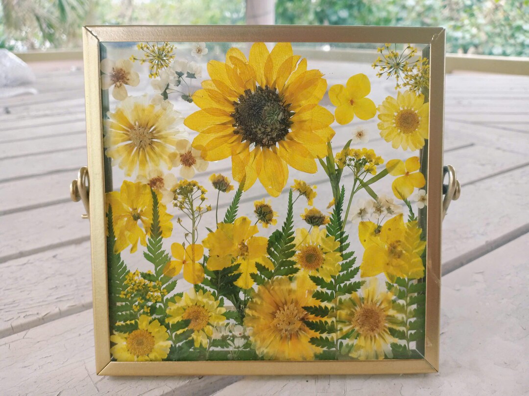 Pressed Flower Frames, Table Flower Frames, Huge Pressed Flower, Dried ...