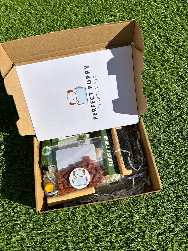 Perfect Puppy Starter Kit - Etsy