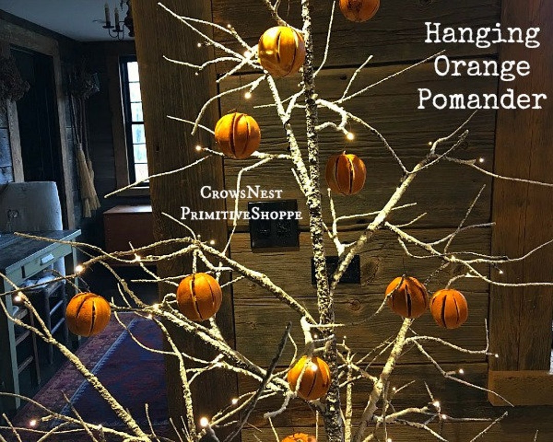 Hanging Whole Dried Orange Pomander Dipped in Certified Organic Beeswax ...