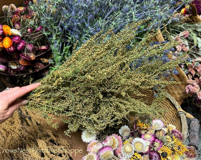 Natural Sweet Annie- Fragrance Herbal Scent Primitive Herb Air Dried ...