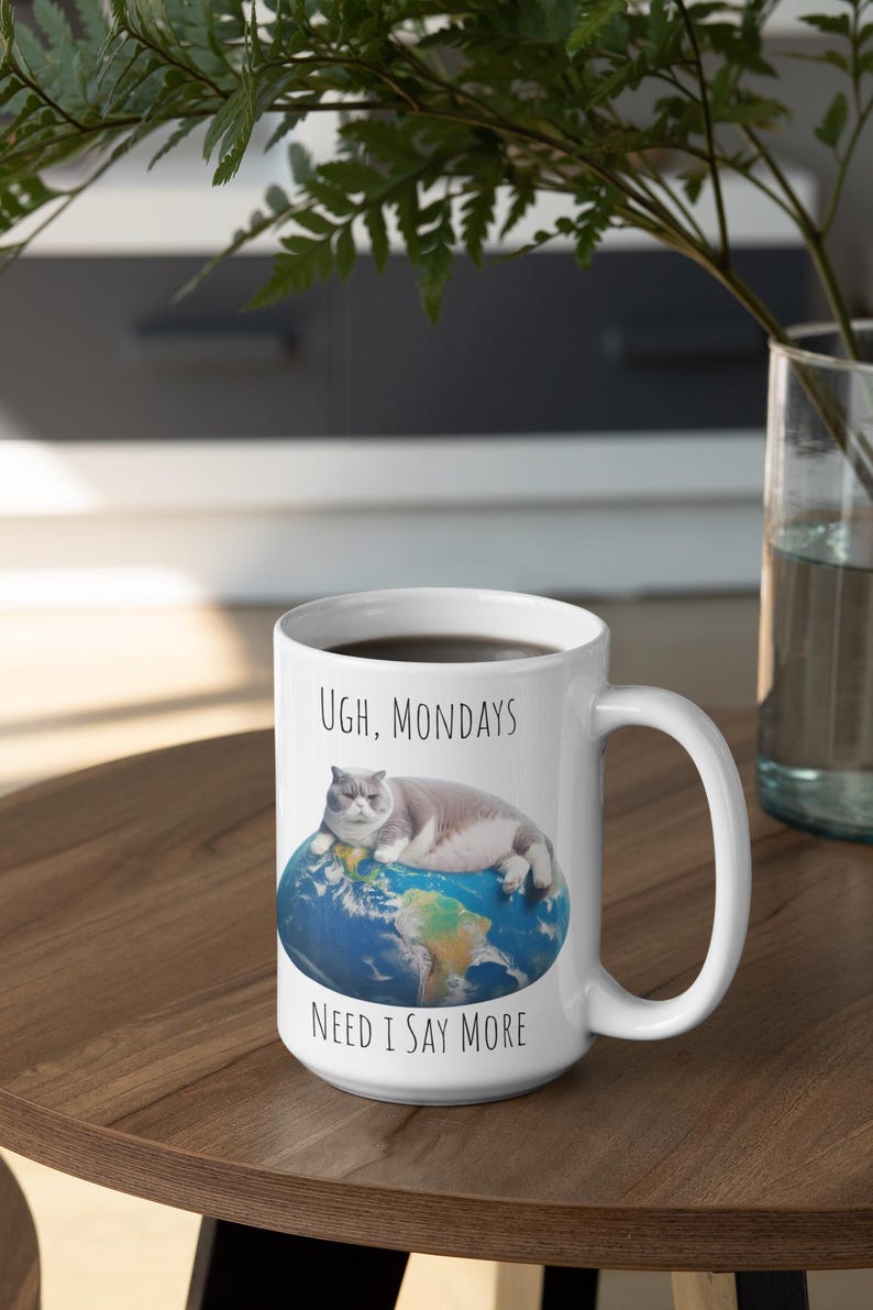 Funny Meme Cat Mug for Adults Coffee Cup for Father's Day Office Gift ...