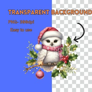 Christmas Owl Clipart Bundle, Watercolor Snow Owl With Santa Hat, Cute ...