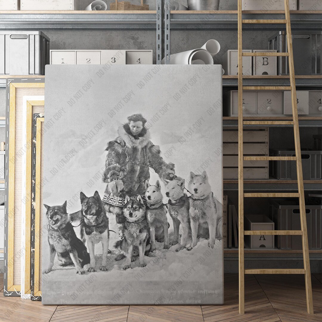 Balto Siberian Husky Dog Togo Leonhard Seppala With Dogs Canvas Wall ...