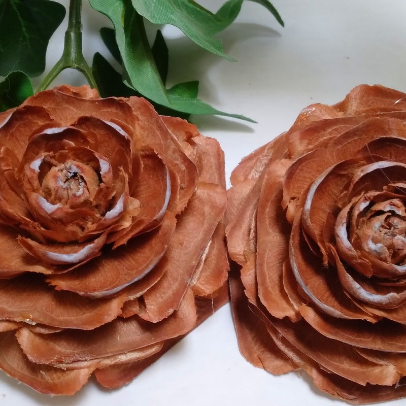 Cedar Rose - Etsy