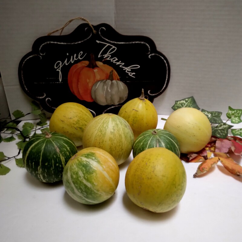 Decorated Gourds - Etsy