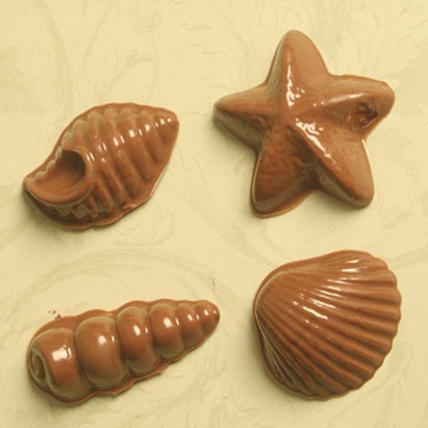 Chocolate Seashells - Etsy