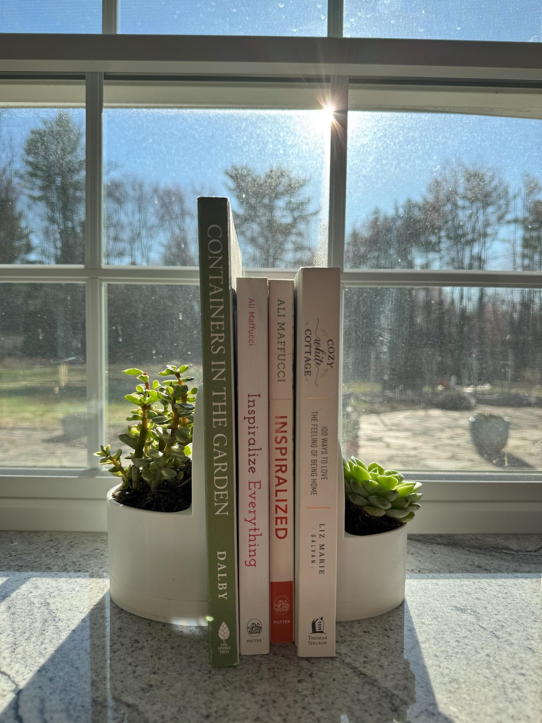 Planter Bookend With Live Succulents – Minimalist Ceramic Pot for Desk ...