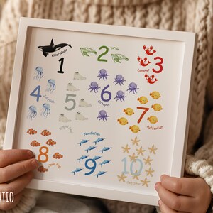 Number Poster, Sea Life Animal Counting, Educative Poster, Toddler Boys ...