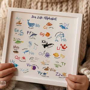 Ocean Animals Poster, ABC Print, Educative Poster, Educative Print ...