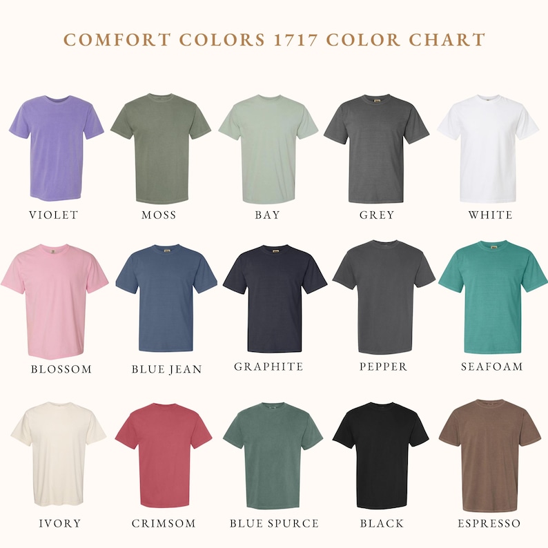 Trust in the Lord Comfort Colors T-shirt: Christian Faith Tee - Etsy