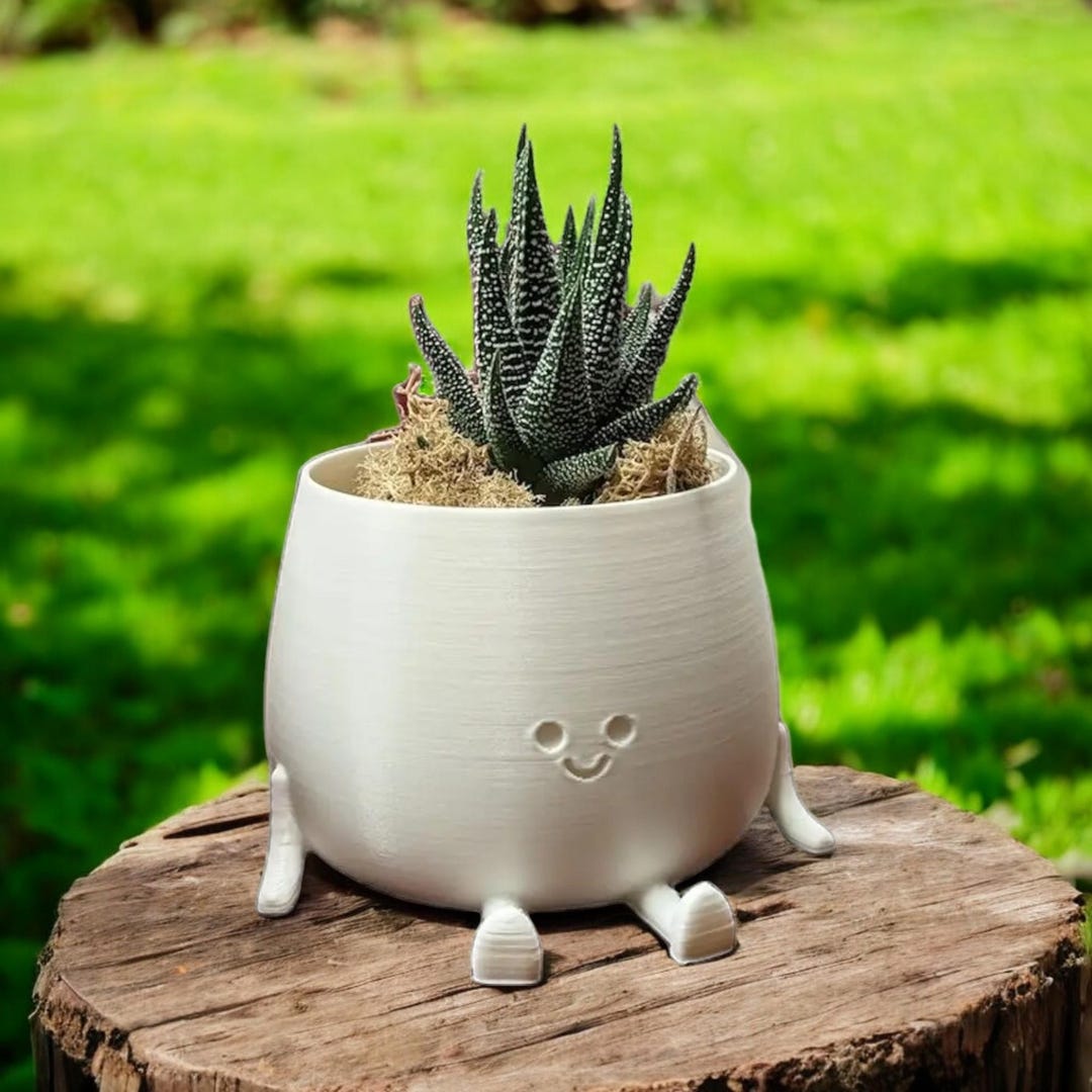 Plant Pot Face - Happy Cute Plant Pot, Indoor Planter Pot, Cute ...