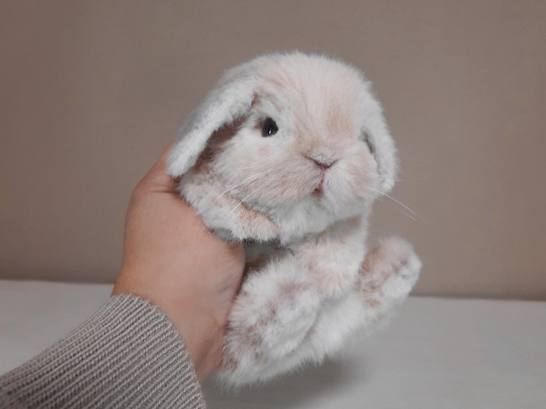 Bunny Realistic Toy, Rabbit Stuffed Animal, Plush Toy - Etsy