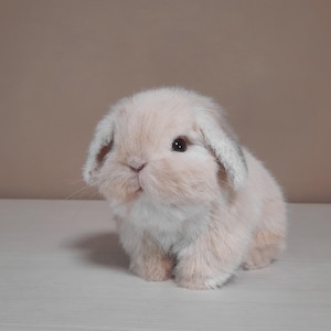 Bunny Realistic Toy, Rabbit Stuffed Animal, Plush Toy - Etsy