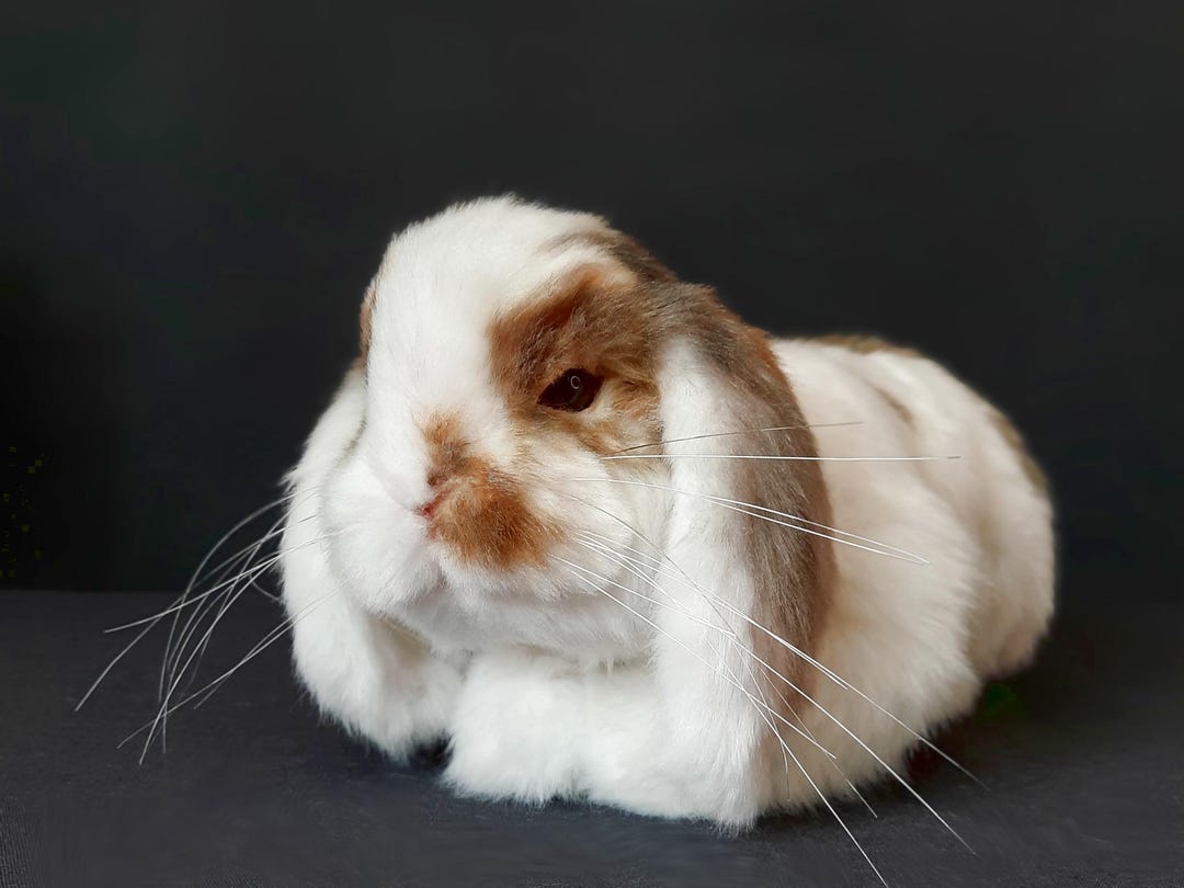 Rabbit Mobile Realistic Toy - Etsy