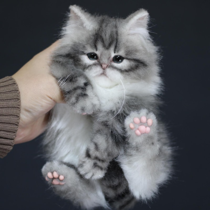 Realistic Cat Squishy - Etsy