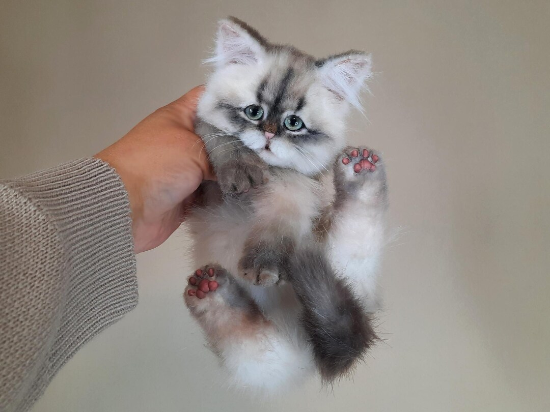 Realistic Kitten, Stuffed Animal, Plush Toy - Etsy
