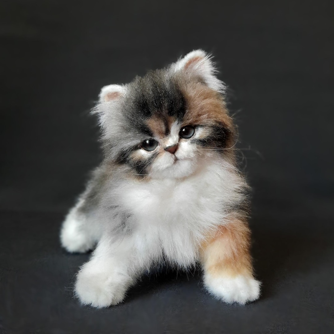 Tri-color Kitten Realistic Toy Plush Sculpture Pet Portrait Toy - Etsy