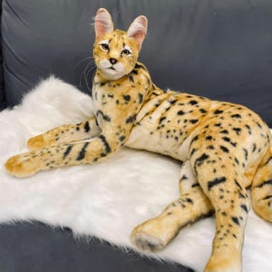 Serval. Realistic Toys. Handmade Toys. Toys Made of Fur. - Etsy