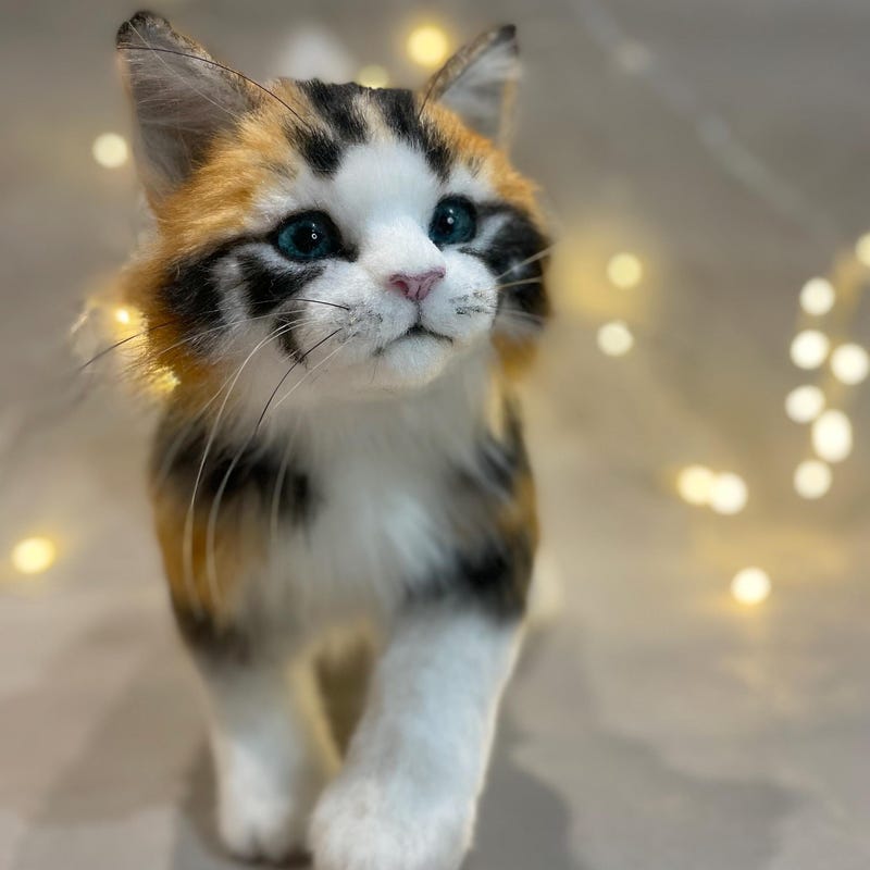 Kitten Toys - Etsy