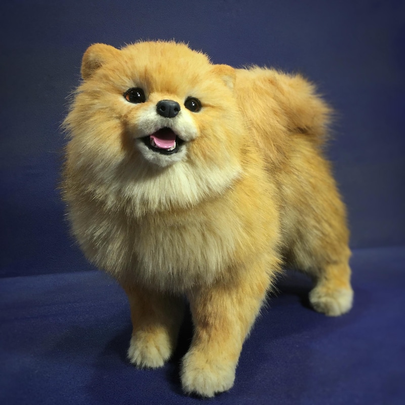 Pomeranian Plush - Etsy