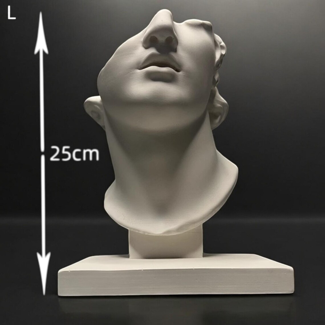 Fragmentary Colossal Head of a Youth Statue | Ancient Greek Figurine | Plaster Bust Art | Modern ...