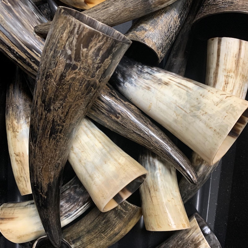 Real Bull Horns - Etsy