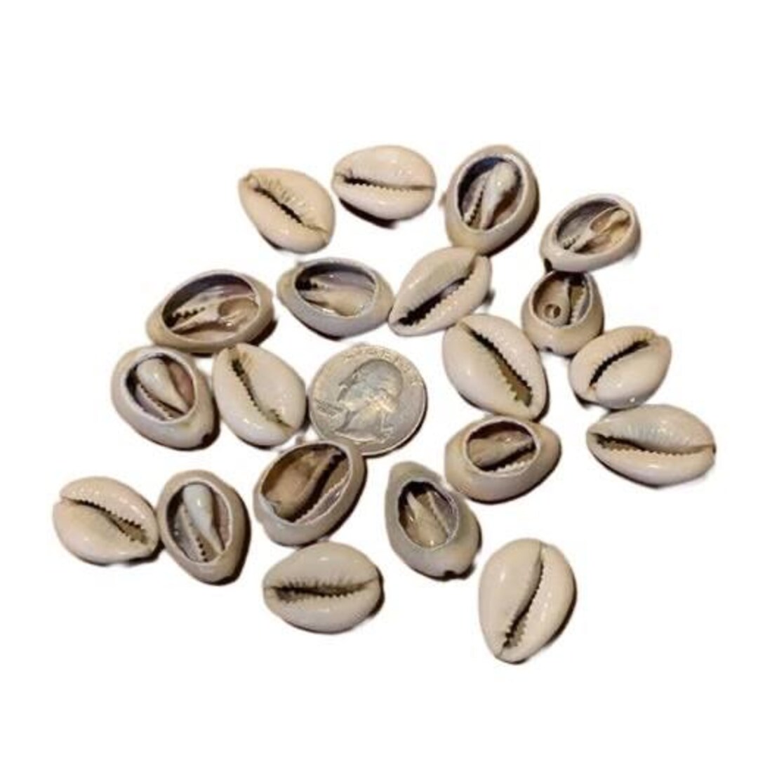 Dilogun Mano 24 Caracoles Cowries Shell Open Santeria Ifa Diloggun Ifa ...