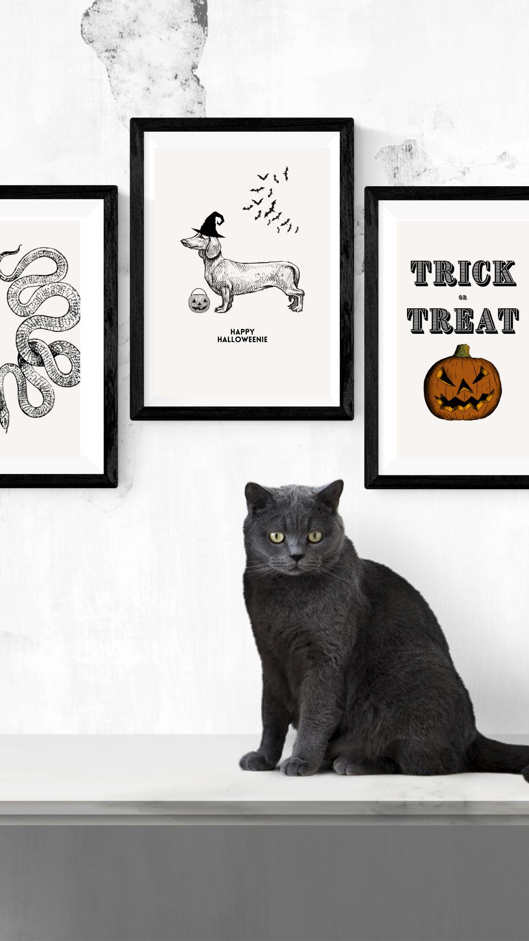 Halloween Printable, Vintage Halloween, Jack O' Lantern, Trick or Treat ...