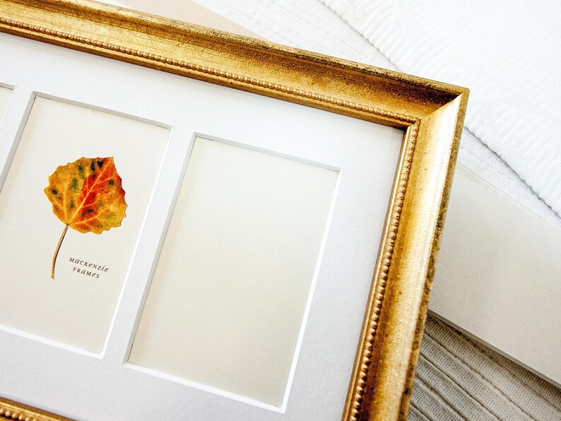 Narrow Gold Deluxe Frame With Fine Inner-bead Detail for 3 or 4 ...