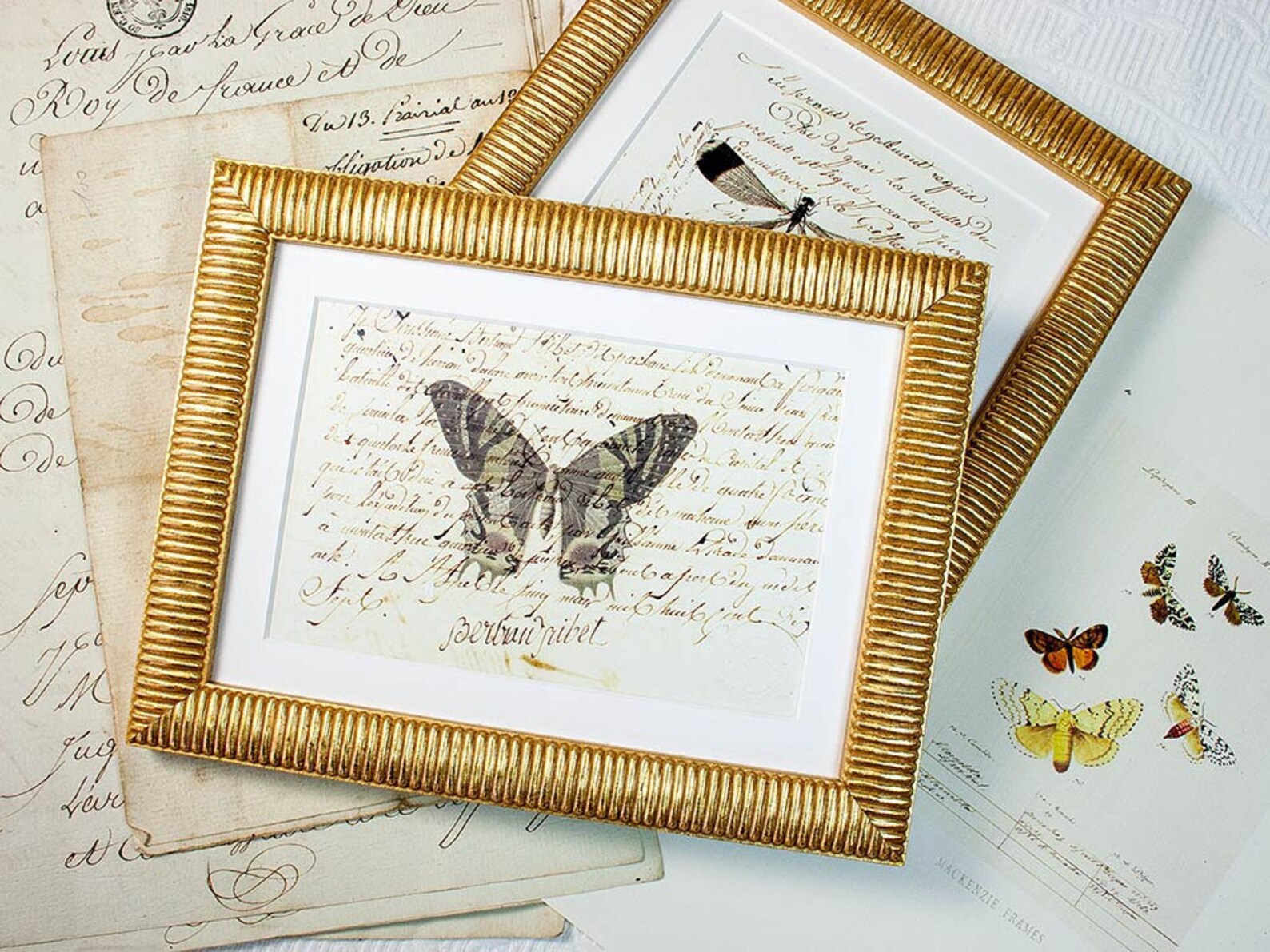 4x5 Inch Gold Frame Round-ribbed Design /golden - Etsy