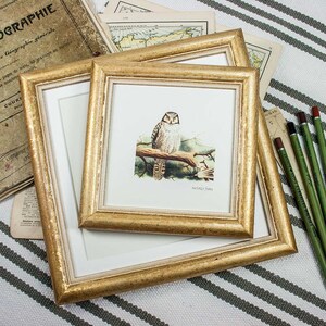 5x5 Inch Square Simple Cottage-style Rounded Bead Profile - Gold With ...