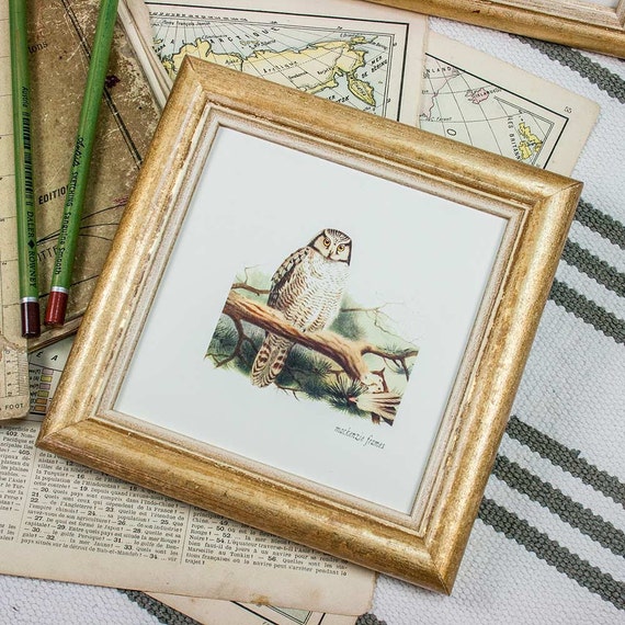 5x5 Inch Square Simple Cottage-style Rounded Bead Profile | Etsy