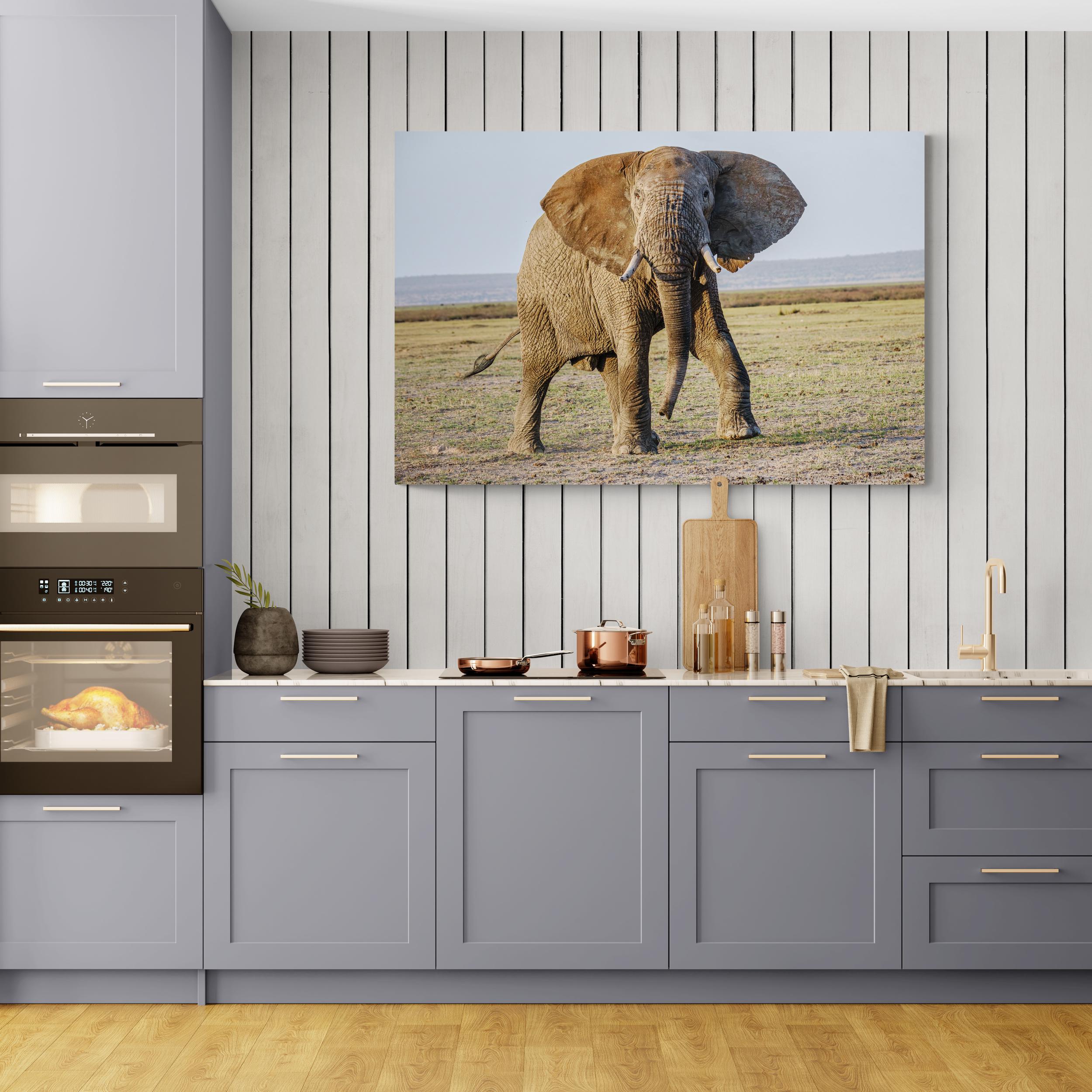Powerful Elephant Wall Art Photo Print, Large Livingroom Wall Art ...