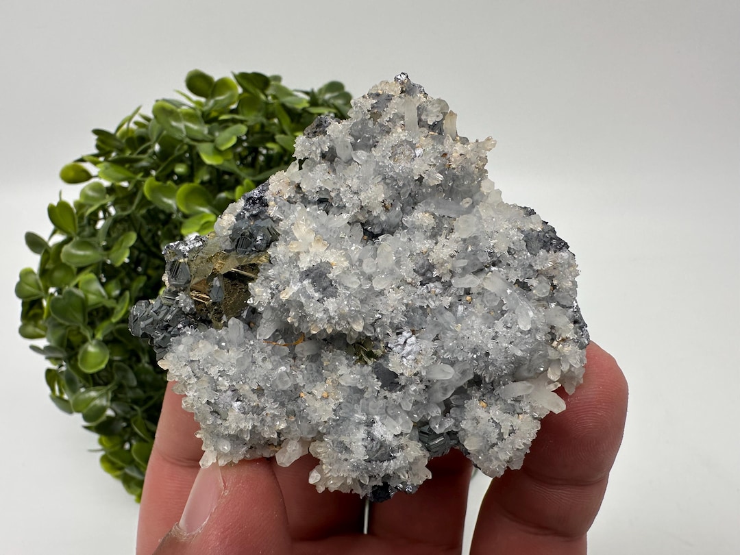 Chalcopyrite, Galena on Quartz Mineral Specimen, Bulgaria - Etsy
