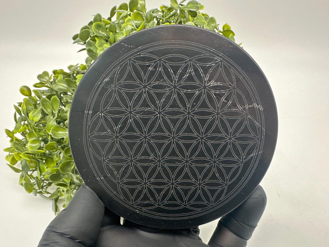 Shungite Tile Round Flower of Life From Karelia,russia,healing Stone ...