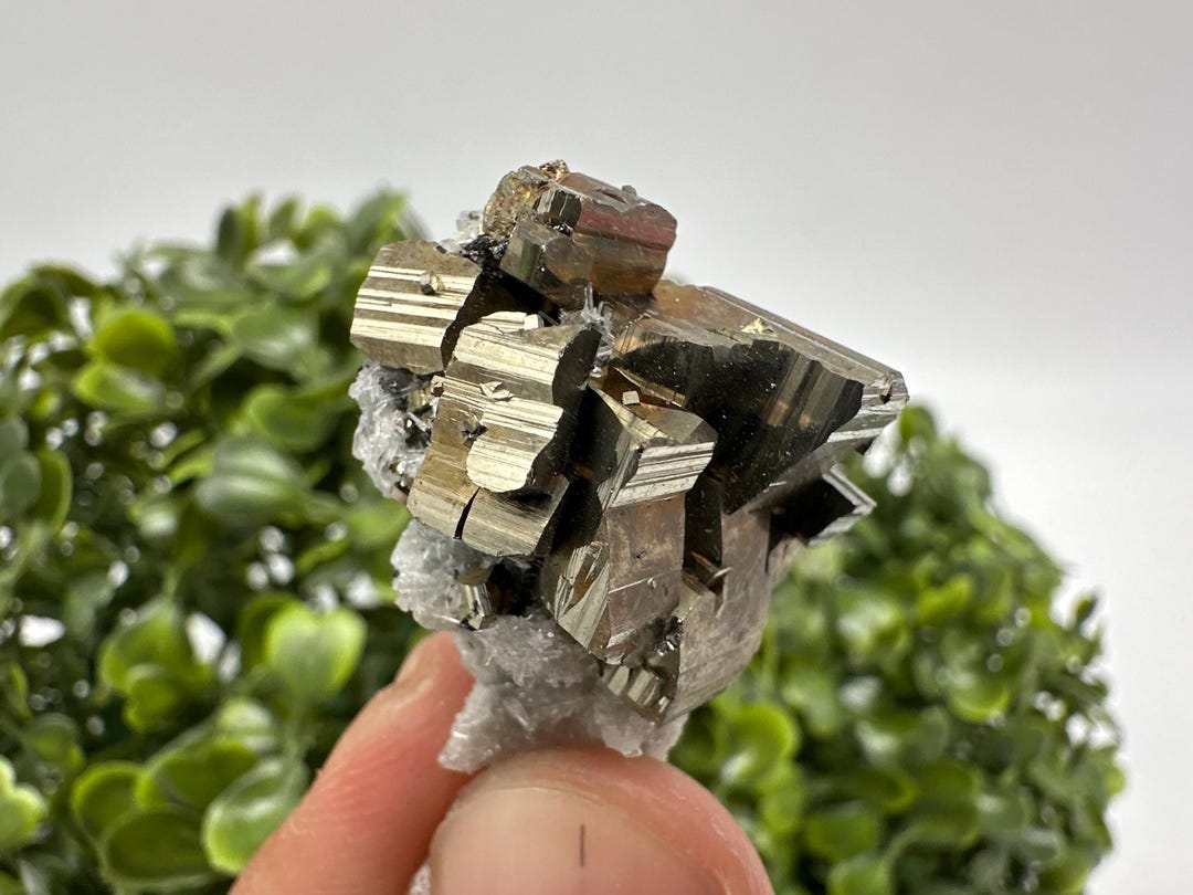 Mini Rare Crystallisation Pyrite,borieva Mine,bulgaria,floating Pyrite ...