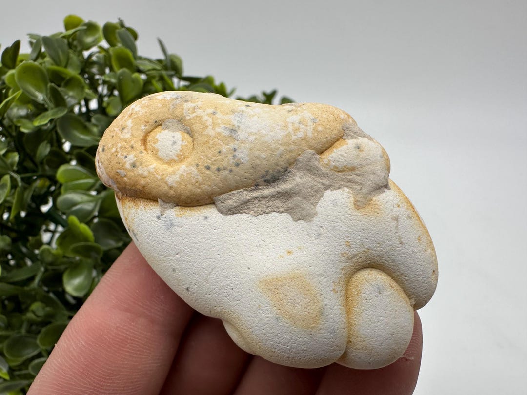 Menalite Crystal, White Fairy Crystal, Unique & Special Crystal Piece ...