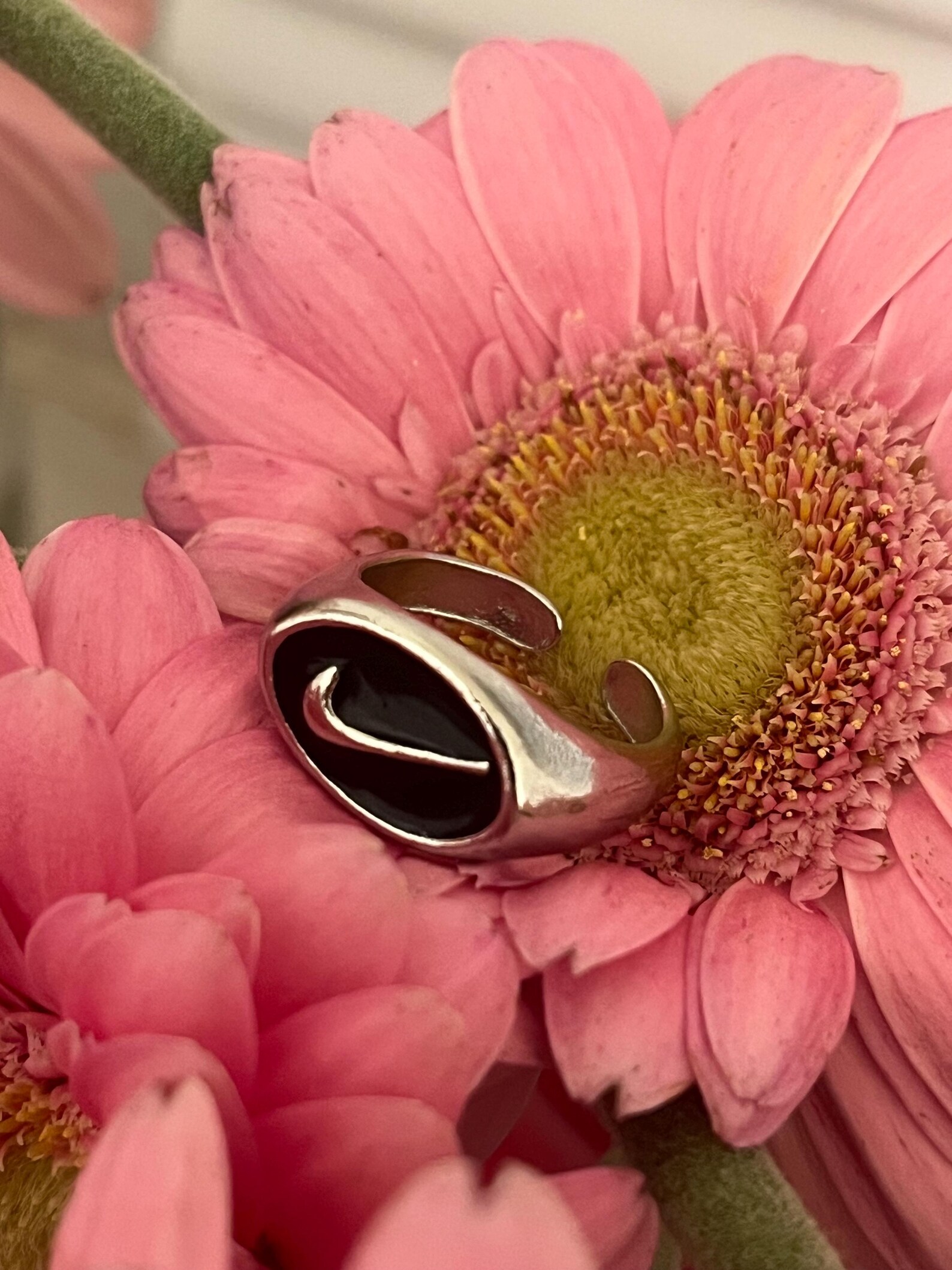 Steel Nike Swoosh Ring! Swoosh Small Adjustable Ring Unisex! - Etsy