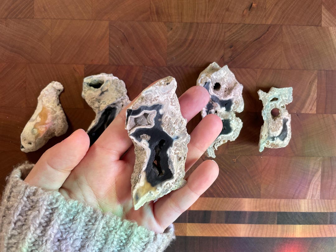 Split Fossilized Agatized Coral Cut Whole / Natural Formation / Coral ...