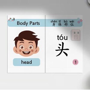 60 Flashcards With 30 Most-commonly Used Body Parts Flashcards in ...