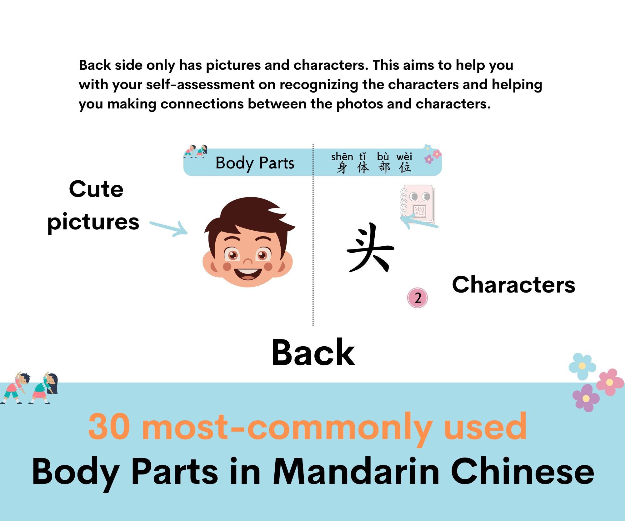 60 Flashcards With 30 Most-commonly Used Body Parts Flashcards in ...