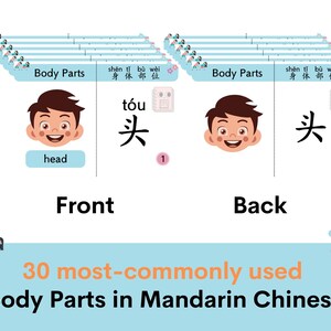 60 Flashcards With 30 Most-commonly Used Body Parts Flashcards in ...