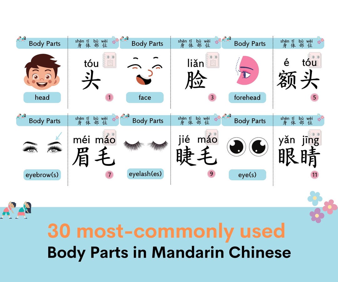 60 Flashcards With 30 Most-commonly Used Body Parts Flashcards in ...